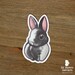 Peeking Cute Half Lop Rabbit Sticker Bunny Laptop Decal / Car - Etsy