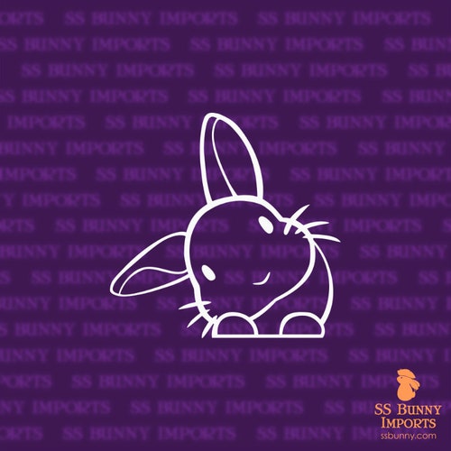 Peeking Cute Vinyl Bunny Sticker Rabbit Car Decal / Laptop - Etsy