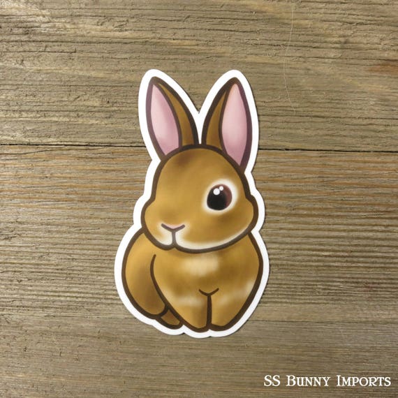 Smutty orange bunny sticker cute printed vinyl rabbit | Etsy