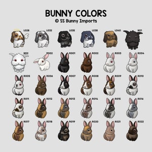 Single Bunny Print Existing Rabbit Breed and Color Custom - Etsy
