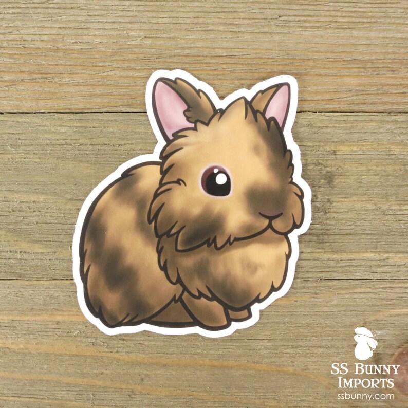 Black Harlequin Lionhead Rabbit Sticker Cute Orange Black - Etsy
