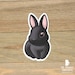 Sable Point Netherland Dwarf Bunny Sticker Cream Brown Rabbit - Etsy