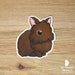 Chocolate Brown Lionhead Rabbit Sticker Cute Bunny Sticker, Waterproof ...