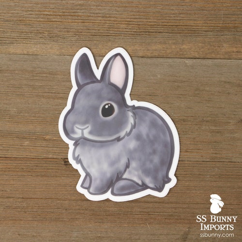 Black Otter Dwarf Rabbit Sticker Cute Dwarf Bunny Vinyl - Etsy