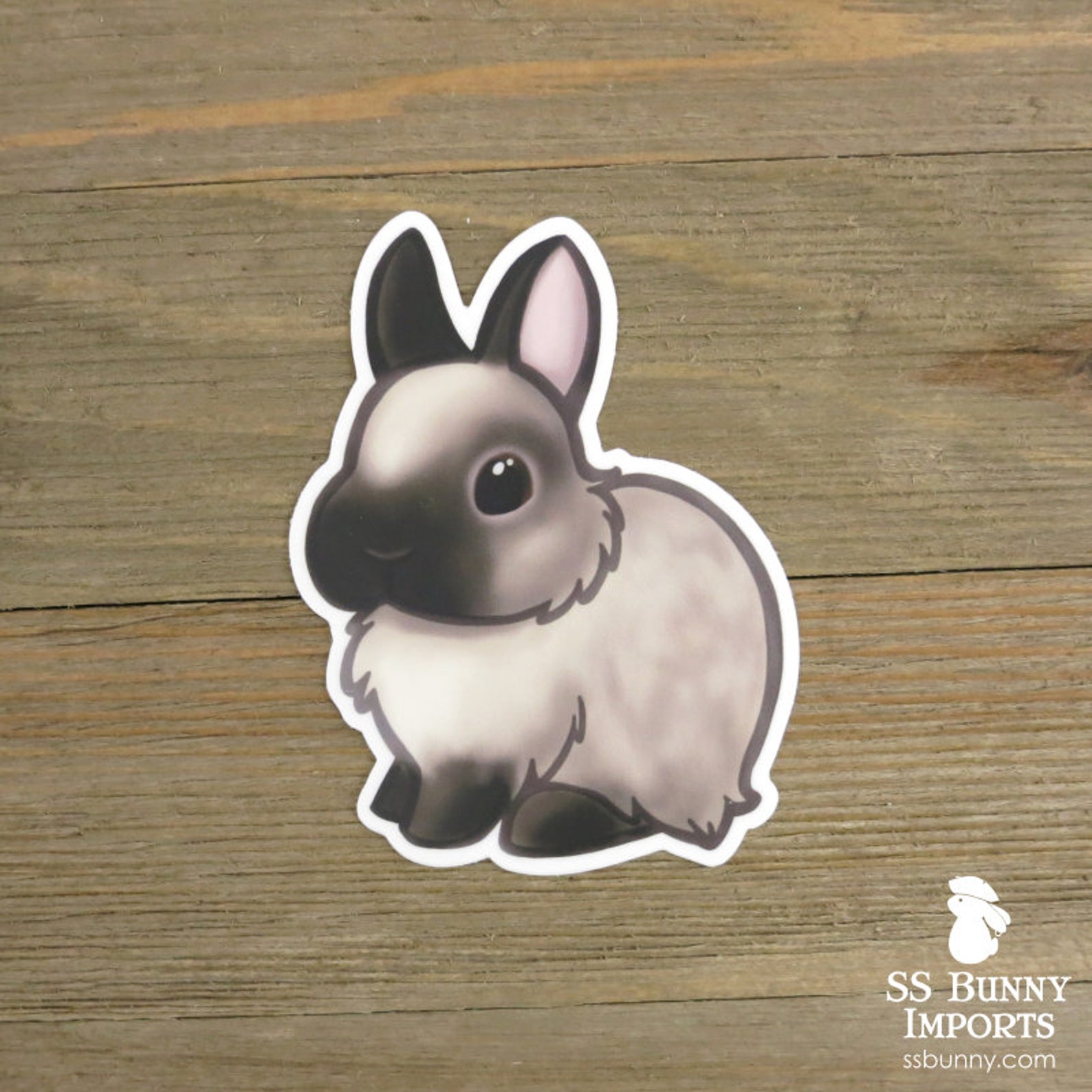 Sable point Netherland Dwarf bunny sticker cream brown rabbit | Etsy Polska