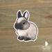 Sable Point Netherland Dwarf Bunny Sticker Cream Brown Rabbit | Etsy