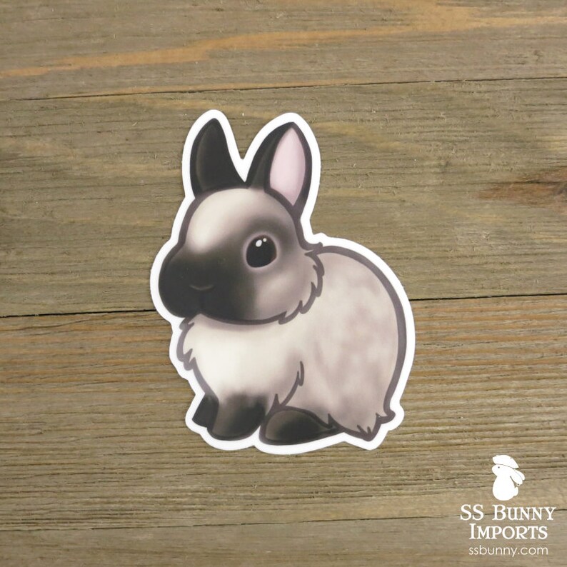 Sable Point Netherland Dwarf Bunny Sticker Cream Brown Rabbit - Etsy