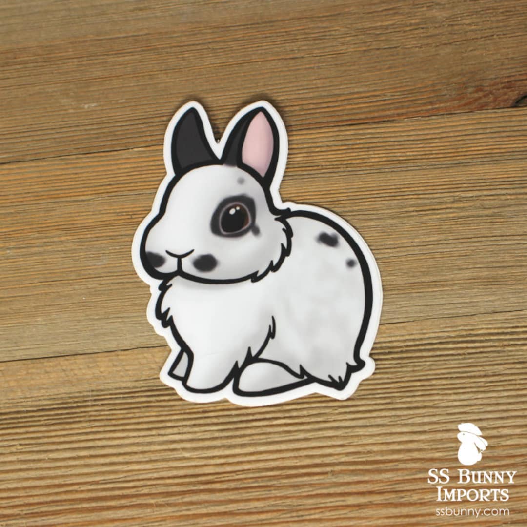 Dork Dwarf White Bunny