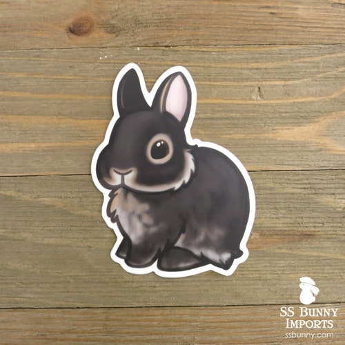 Black Silver Marten Dwarf Rabbit Sticker Adorable Printed - Etsy