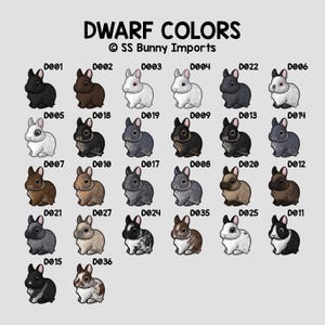 Black Vienna-marked Netherland Dwarf Rabbit Sticker; Printed Chibi ...