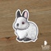 Himalayan Netherland Dwarf Rabbit Sticker Adorable Printed | Etsy