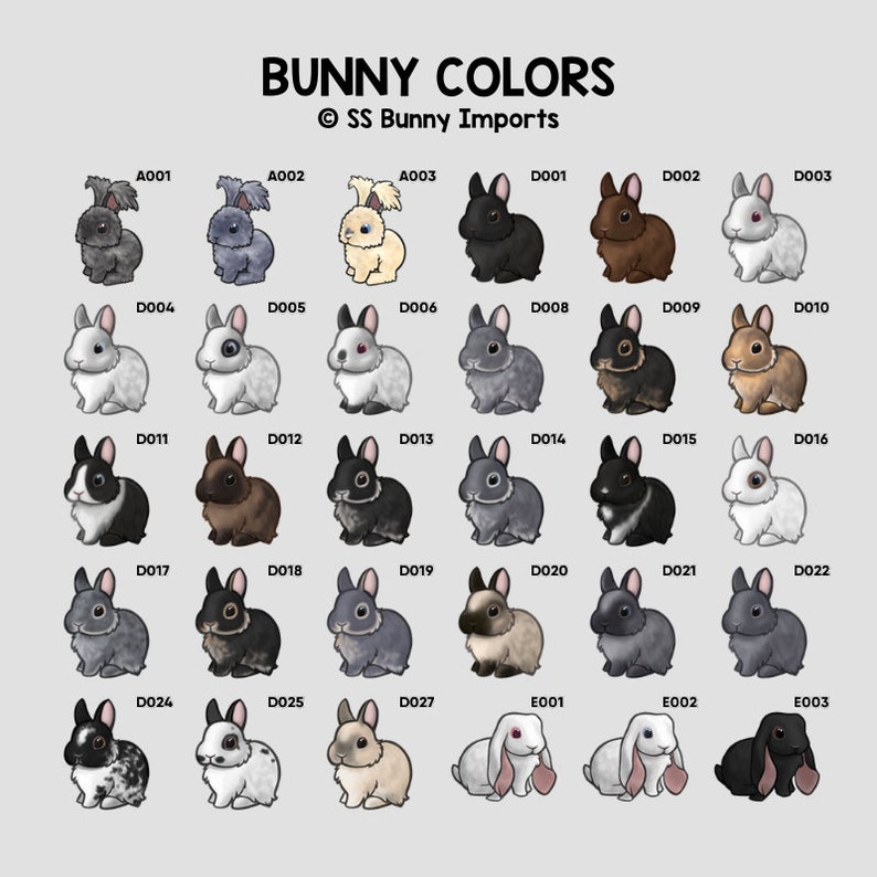 Single Bunny Print Existing Rabbit Breed and Color Custom | Etsy