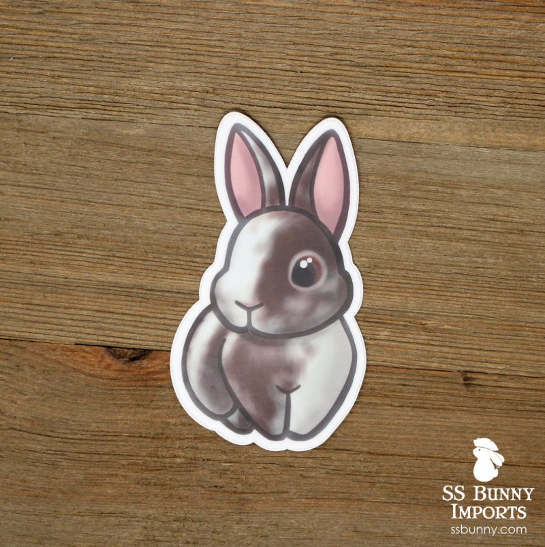 Chocolate Brown Magpie Harlequin Rabbit Sticker; Cute Bunny Sticker ...