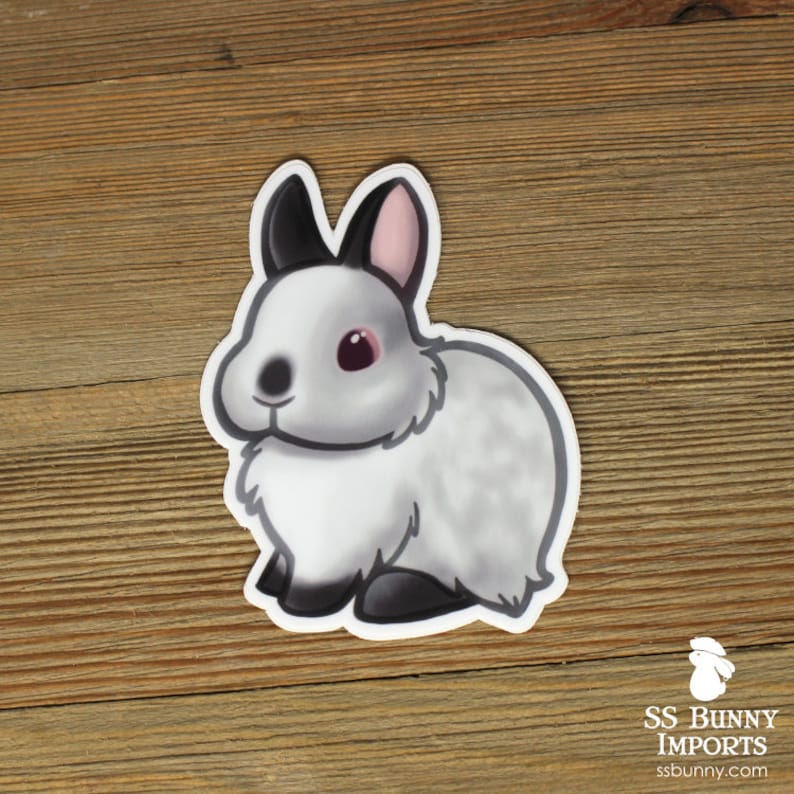 Himalayan Netherland Dwarf Rabbit Sticker Adorable Printed - Etsy