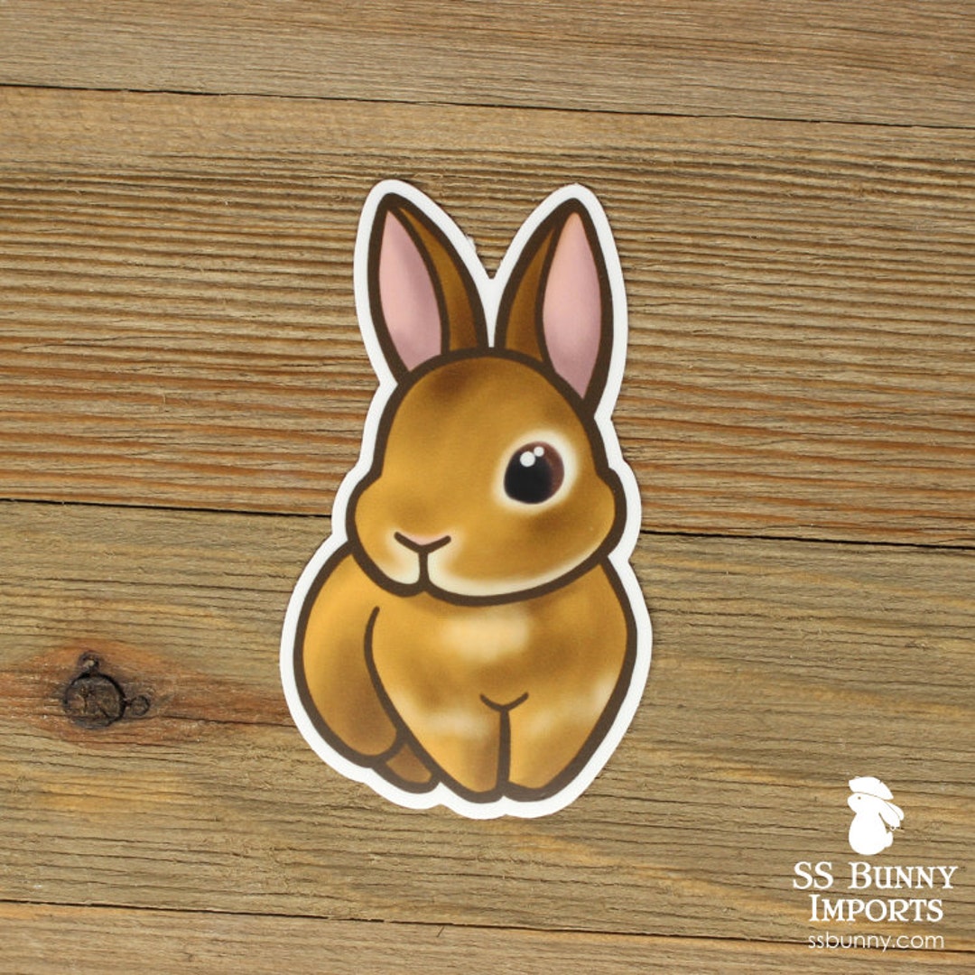 Smutty Orange Bunny Sticker; Cute Printed Vinyl Rabbit Sticker, Waterproof, Weatherproof - Etsy
