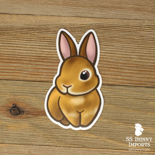 Black Otter Bunny Sticker Cute Printed Vinyl Rabbit Sticker - Etsy