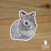 Orange Lionhead Rabbit Sticker Cute Lionhead Bunny Sticker - Etsy
