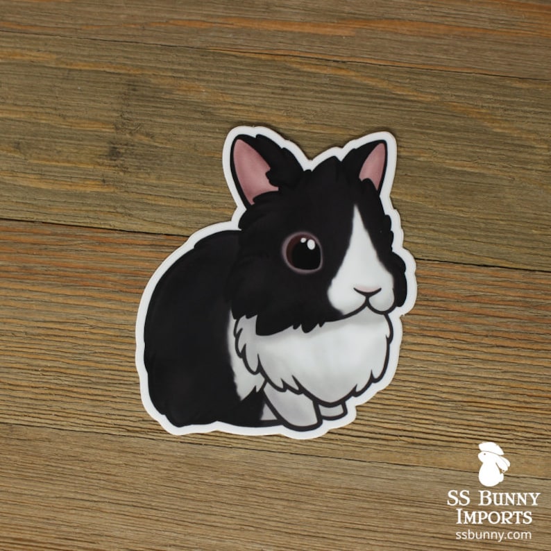 5x Custom Lionhead Rabbit Stickers - Personalized Rabbit Gift, Custom ...