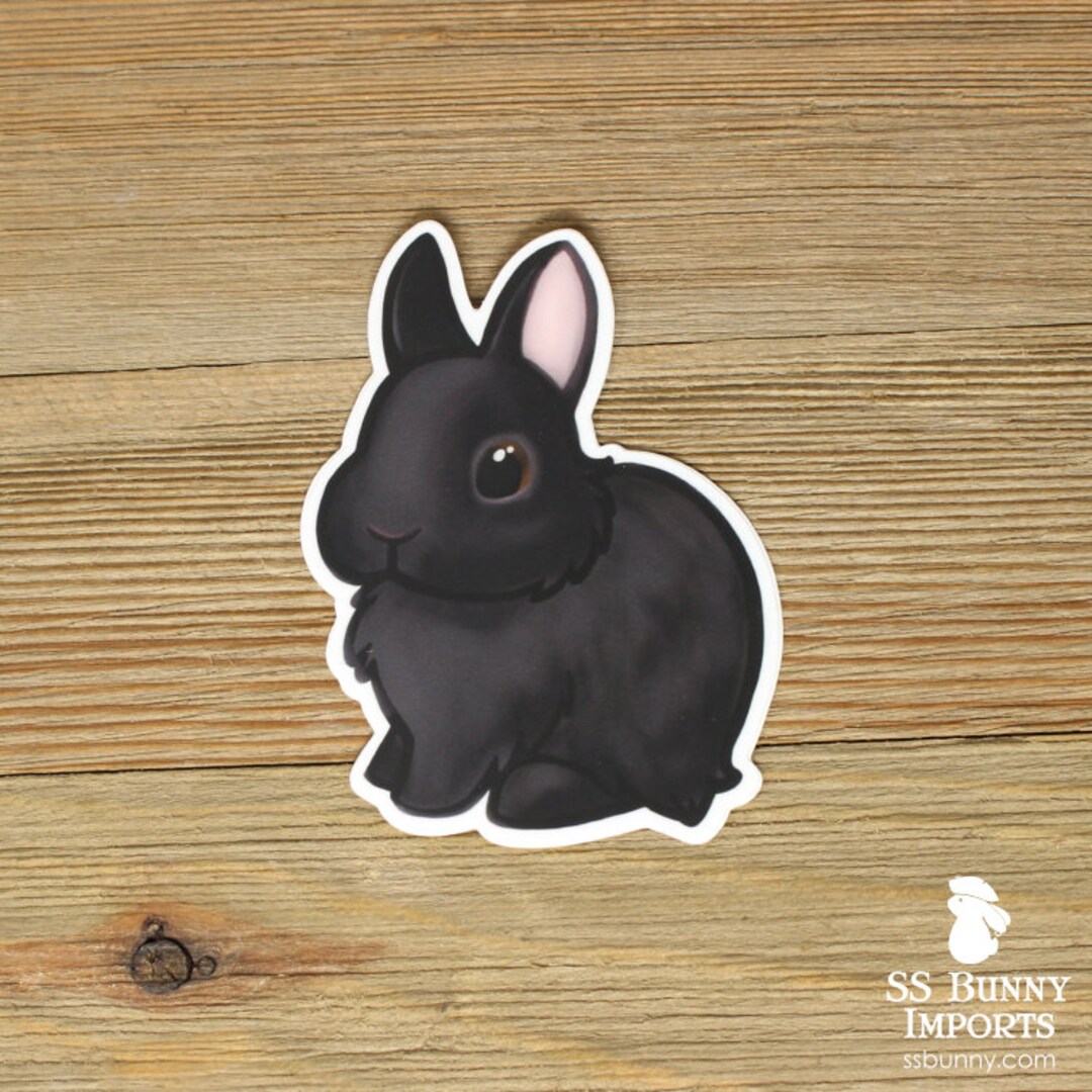 Black Netherland Dwarf Bunny Sticker Black Dwarf Bunny Car Sticker ...
