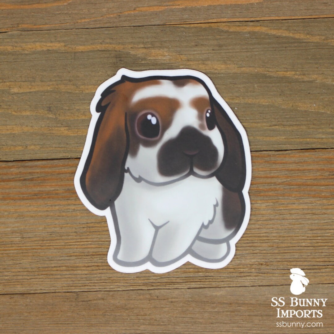 Broken Chocolate Tort Lop Rabbit Sticker; Printed Chibi Bunny Vinyl ...