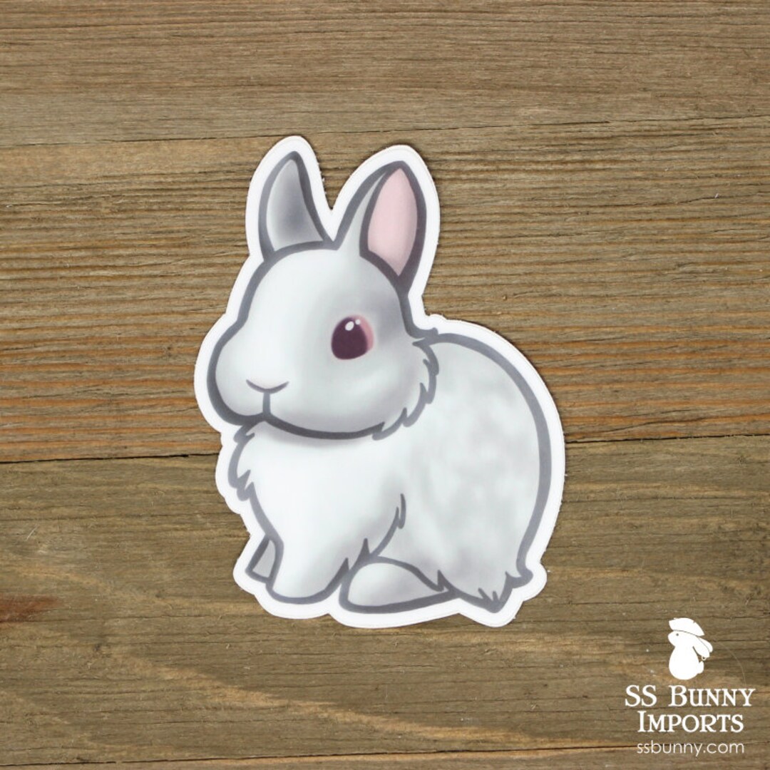 REW Netherland Dwarf Rabbit Sticker Cute Printed Bunny Vinyl - Etsy