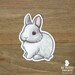 REW Netherland Dwarf Rabbit Sticker Cute Printed Bunny Vinyl | Etsy