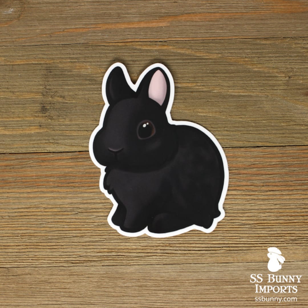 Black Netherland Dwarf Bunny Sticker; Black Dwarf Bunny Car Sticker ...