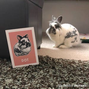 Single Bunny Print - Existing Rabbit Breed and Color - Custom Rabbit ...