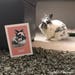 Single Bunny Print Existing Rabbit Breed and Color Custom Rabbit ...