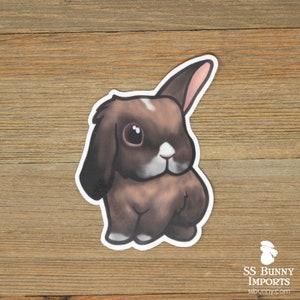 Custom 5x Lop Rabbit Vinyl Stickers Chibi Lop Bunny Picture - Etsy