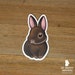 Chocolate Brown Lionhead Rabbit Sticker Cute Bunny Sticker, Waterproof ...