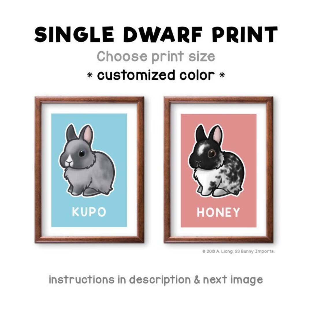 Custom Dwarf Rabbit Art Print Chibi Dwarf Bunny Picture, Custom Rabbit ...
