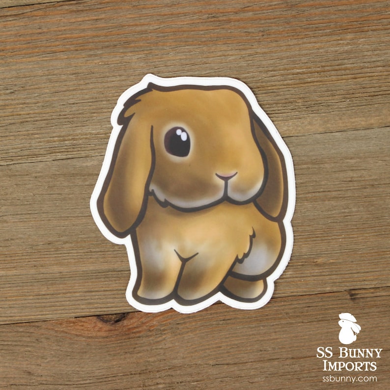 Orange lop bunny sticker printed chibi rabbit vinyl tablet | Etsy
