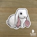 Blue-eyed White English Lop Sticker Printed BEW Rabbit Laptop Sticker ...