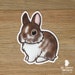 Custom 5x Dwarf Rabbit Stickers Cute Dwarf Bunny Picture - Etsy