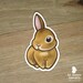 5x Custom Bunny Stickers - Customized Rabbit Gift, Custom Rabbit Art ...