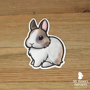 Custom 5x Dwarf Rabbit Stickers - Cute Dwarf Bunny Picture, Custom ...