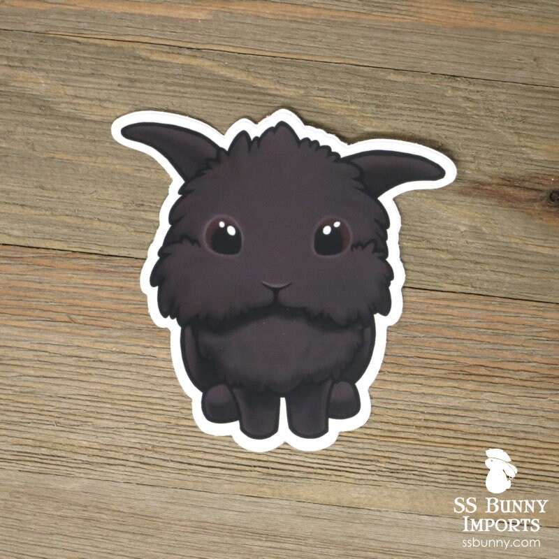 5x Custom lionhead rabbit stickers personalized rabbit gift | Etsy