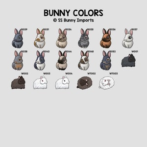 Single Bunny Print Existing Rabbit Breed and Color Custom Rabbit ...