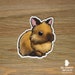 Chocolate Brown Lionhead Rabbit Sticker Cute Bunny Sticker, Waterproof ...