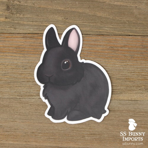 Agouti Netherland Dwarf Bunny Sticker Printed Chibi Rabbit - Etsy