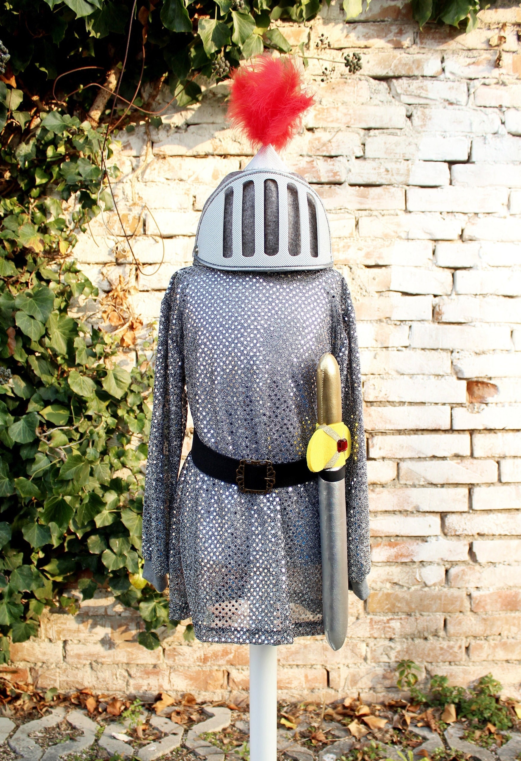 Homemade Medieval Knight Costume