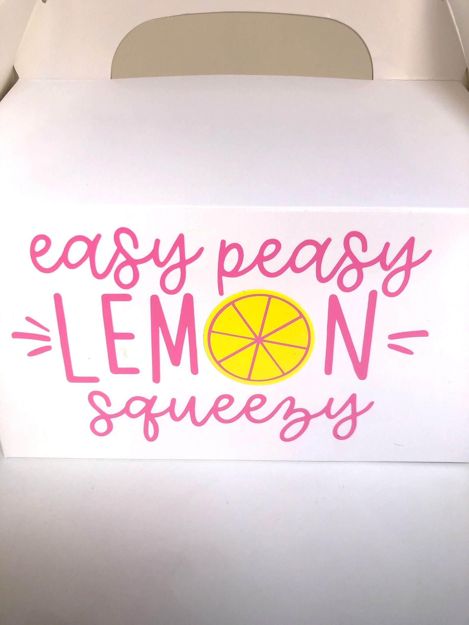 Pink Lemonade Party Favors Pink Lemonade Birthday Pink - Etsy