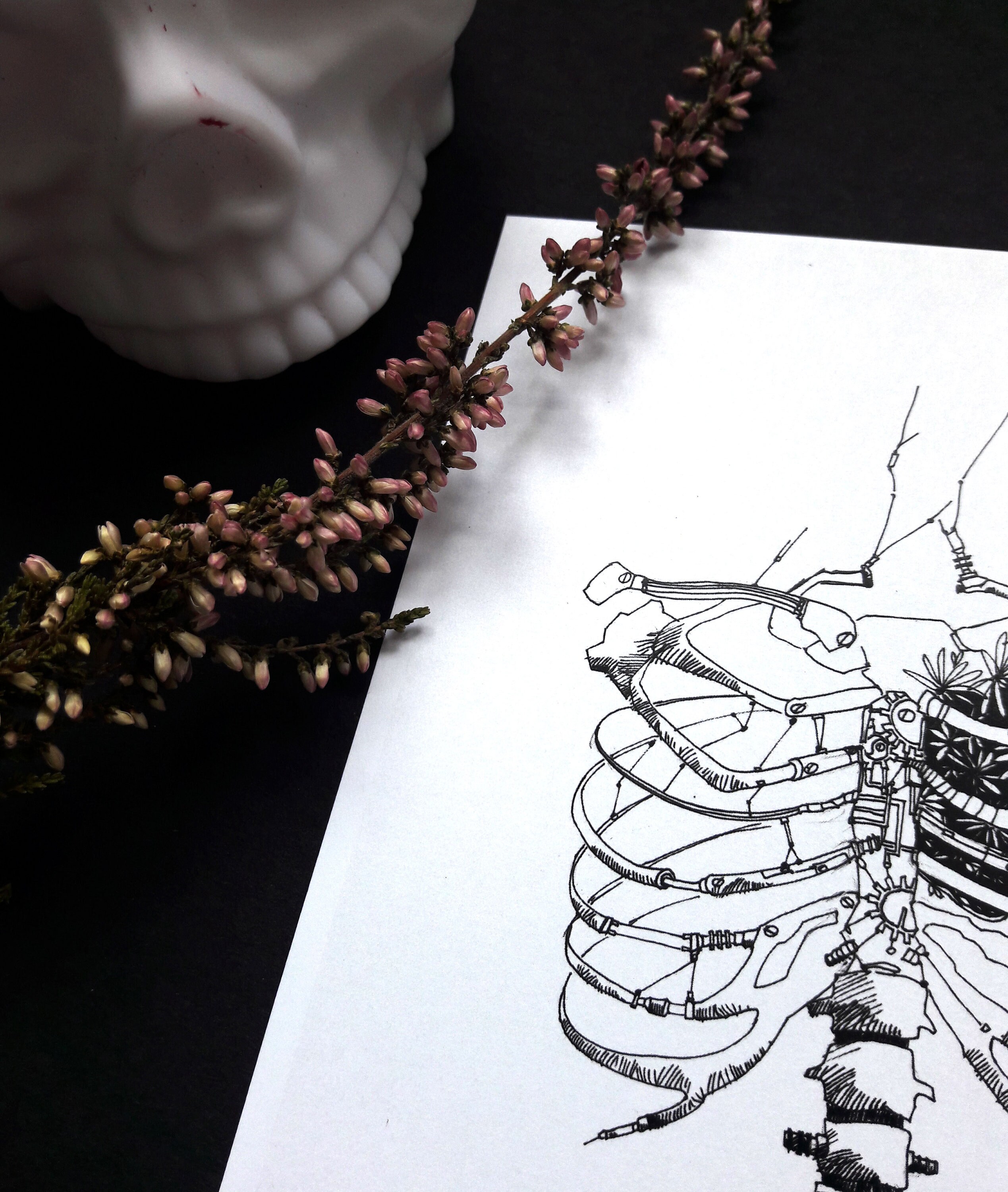 Skeleton Sketch Printed as Illustration. Skeleton and Flowers, Poster ...
