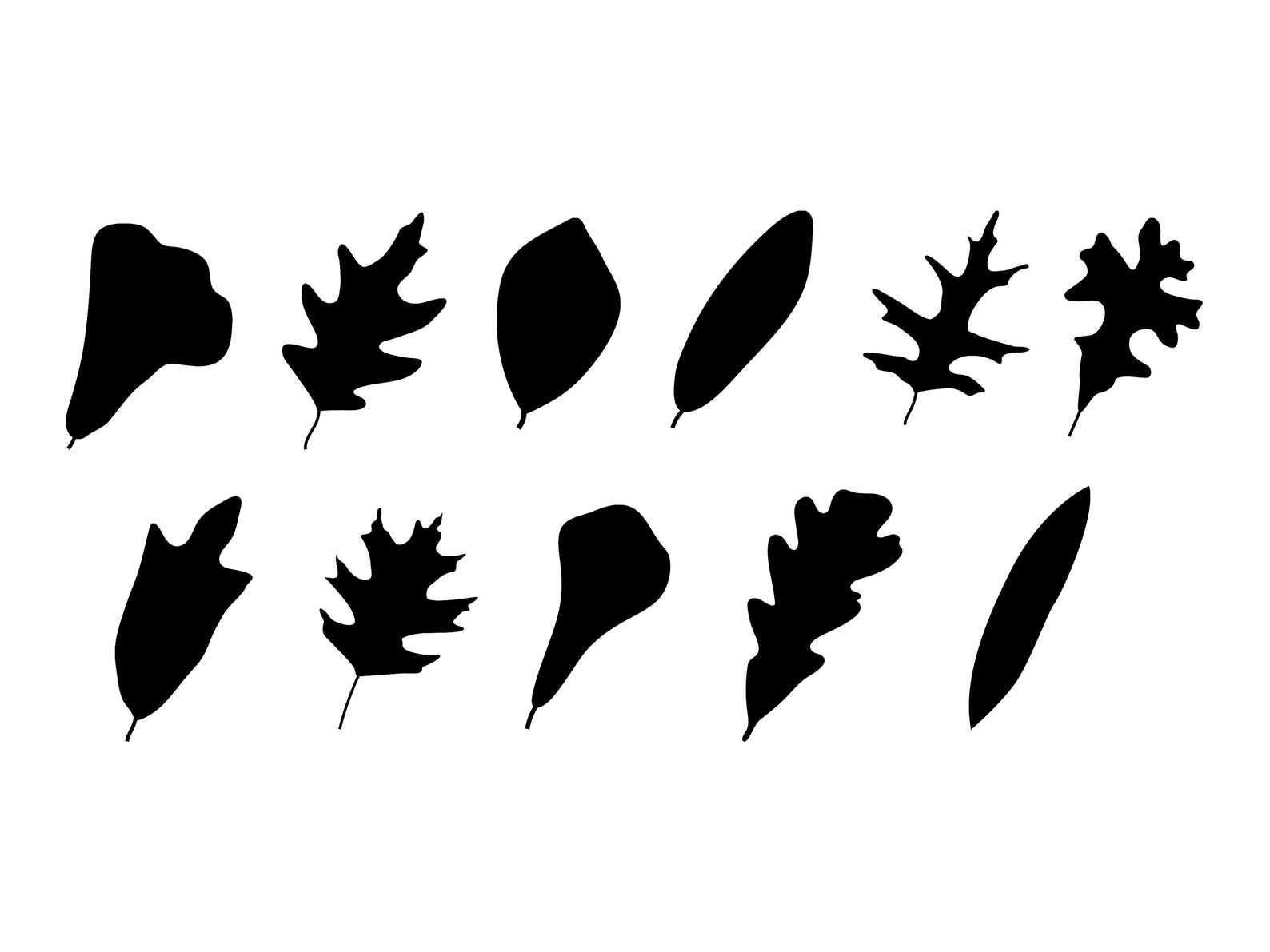 Feuilles de chêne SVG Oa svg Feuille svg Arbre svg Chêne - Etsy France