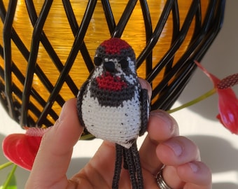 Red-bellied Woodpecker Written Crochet Pattern Realistic Garden Bird ...