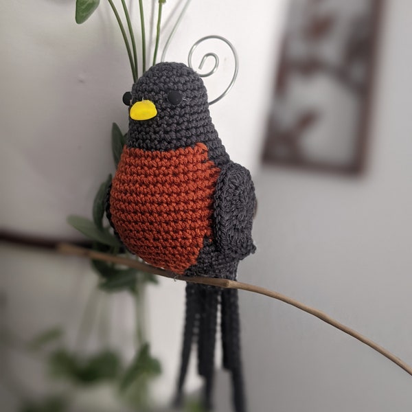 Crochet Robin - Etsy
