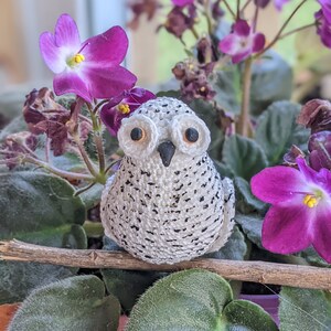Snowy Owl Crochet Pattern - Etsy