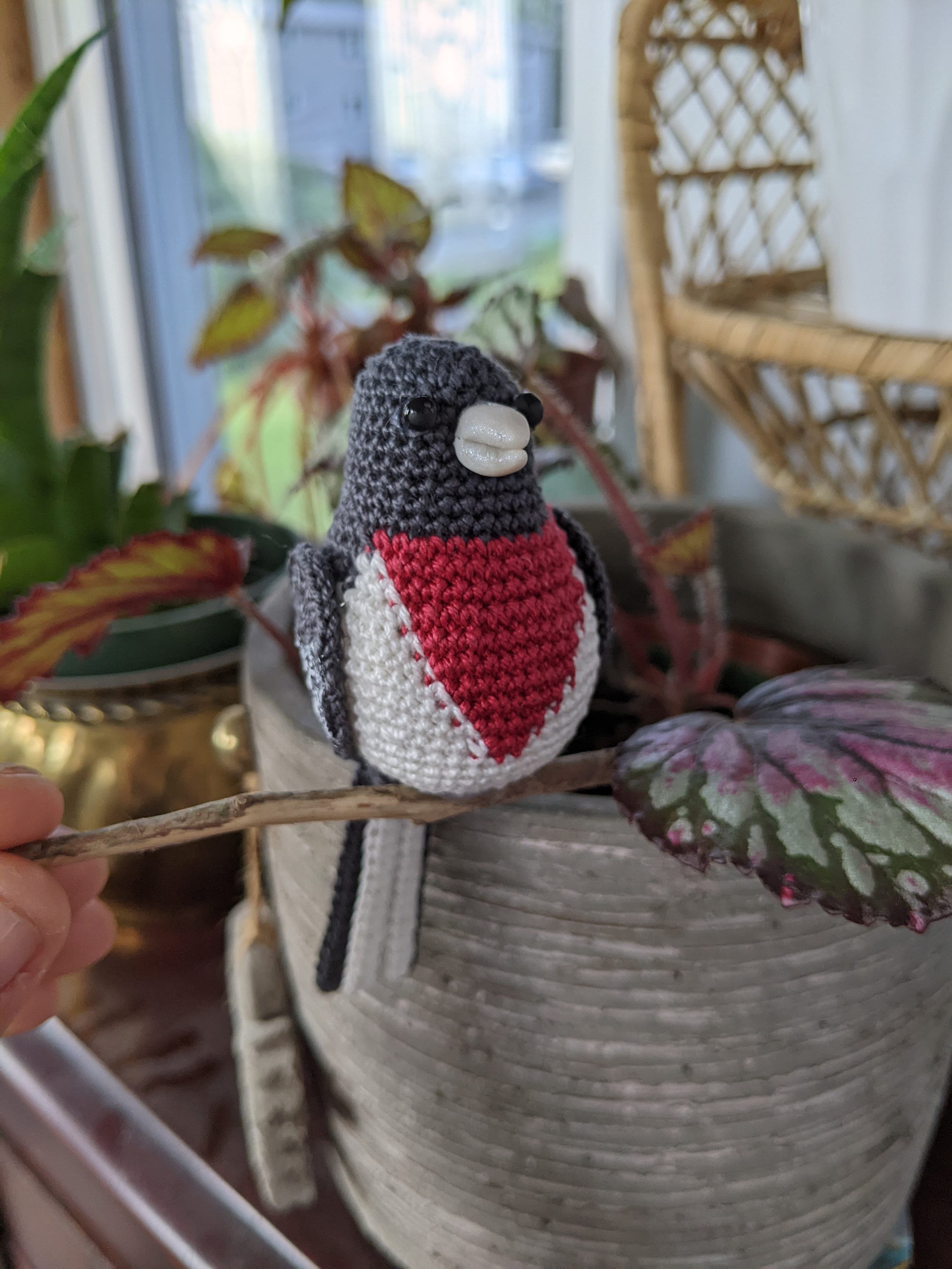 Rose Breasted Grosbeak Crochet Pattern - Etsy