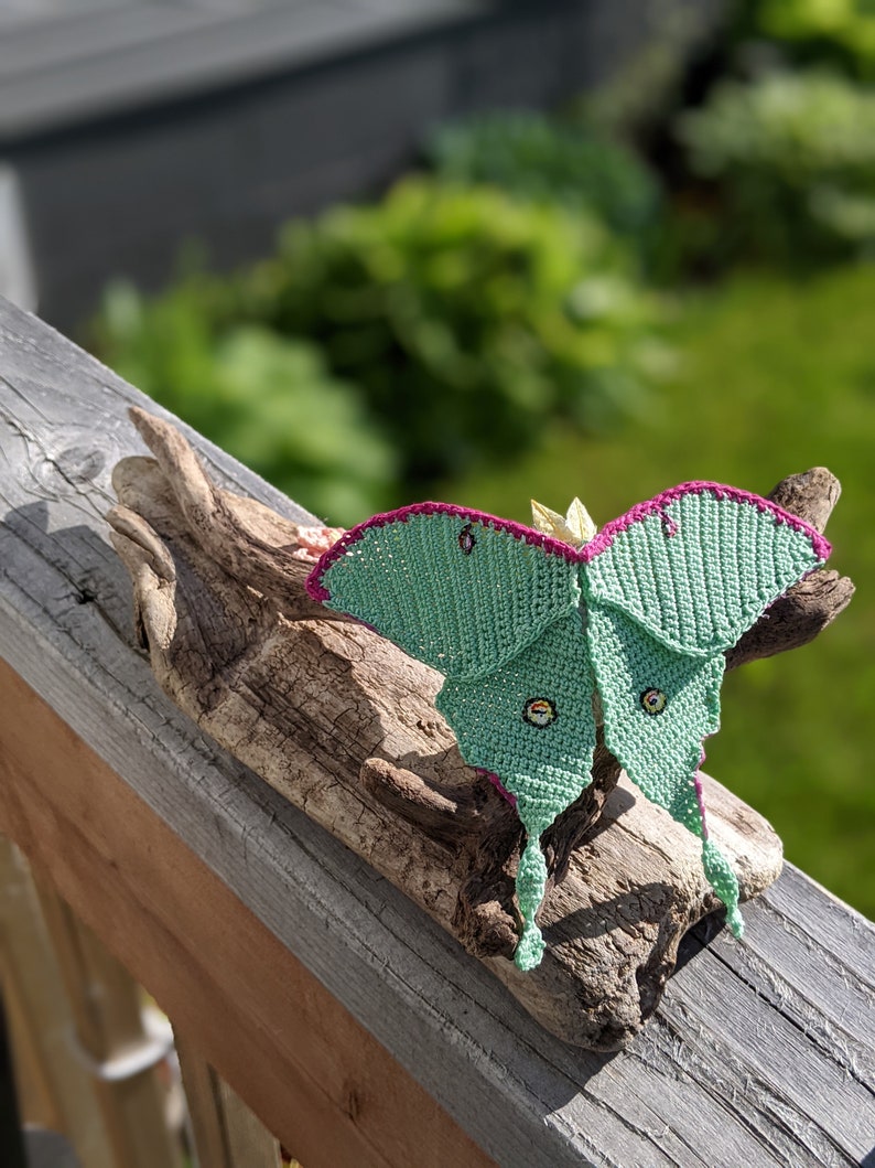 Luna Moth Crochet Pattern - Etsy